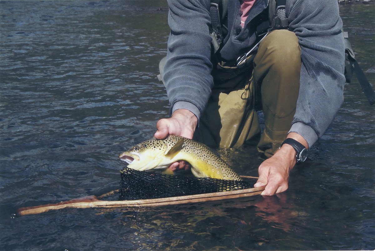 Outdoor Enthusiast - Conejos County